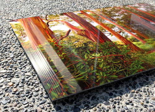 Montreal Face Mounting Prints On Acrylic/PlexiGlass - Acrylic Face Mounting